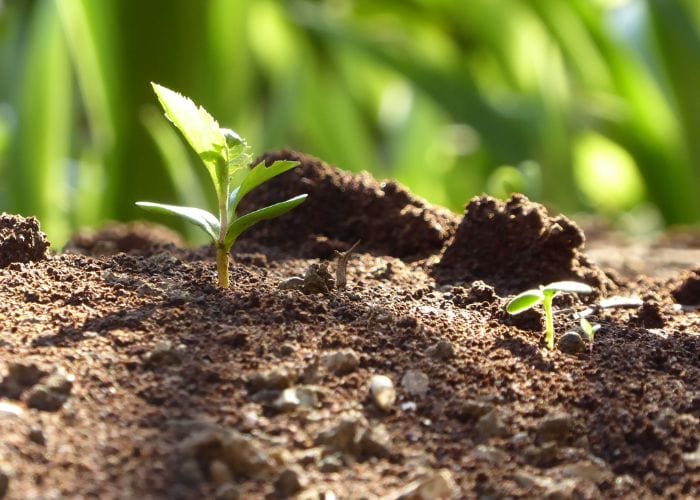 150+ Beautiful Elemental Names (with Meanings)