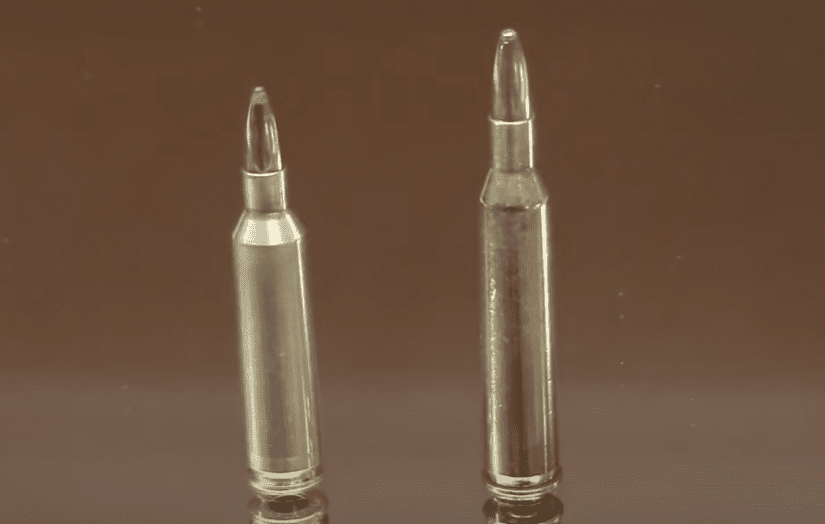 How Fast Is A Bullet In Mph? - Speed Of Various Ammo Types